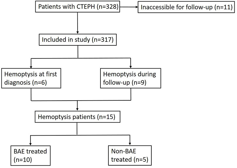 Efficacy and Safety of Bronchial Artery Embolization on Hemoptysis ...