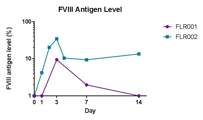 Therapeutic Levels of Factor VIII Gene Expression Were Achieved by ...