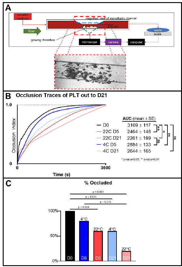 Cold over Room Temperature Storage of Apheresis Platelets Better ...